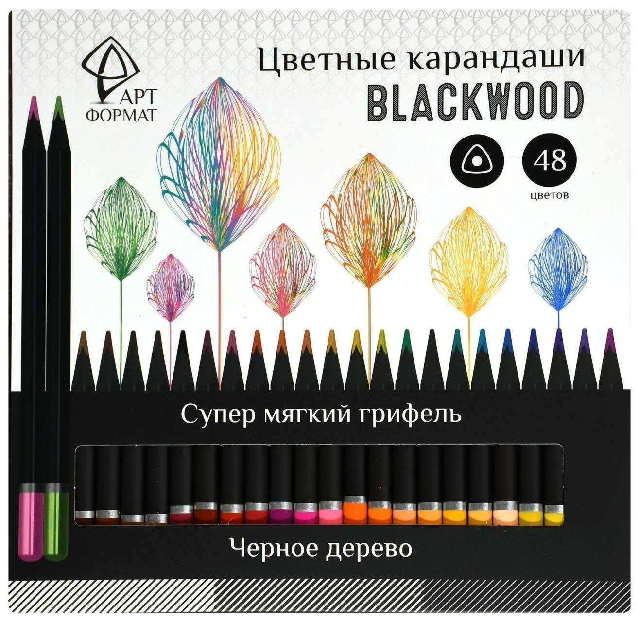 Набор цветных карандашей АРТформат Blackwood 48 цв. трехгранные, деревянные, супермягки грифель