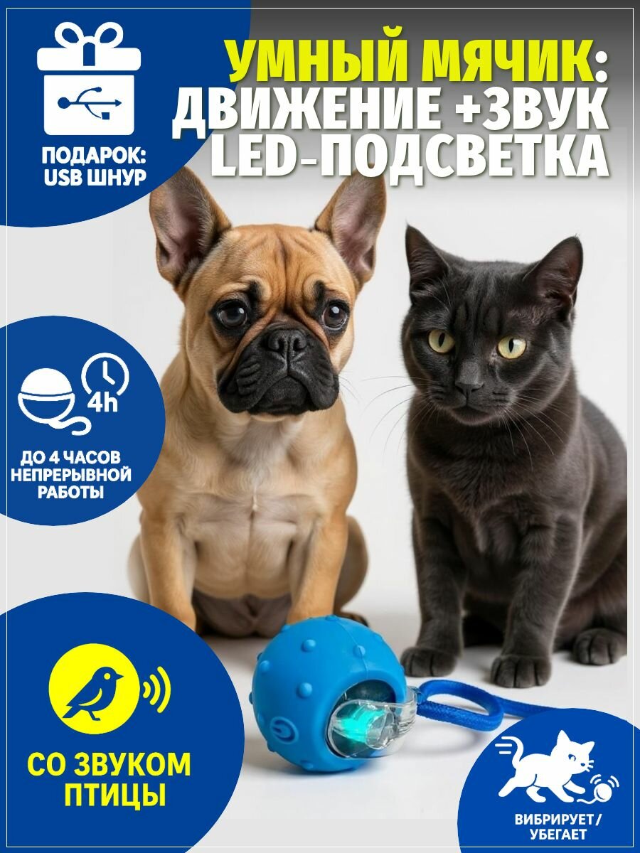 Интерактивная игрушка мячик со звуком птички для кошек, котят, щенков и собак мелких пород, LED подсветка, смена направления 3 режима игры, автоотключение, цвет сюрприз
