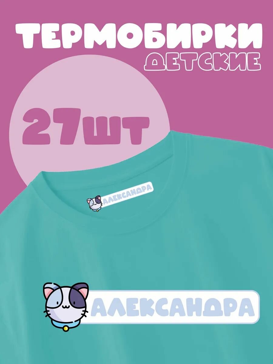 Термонаклейка именная Александра на одежду детская в сад