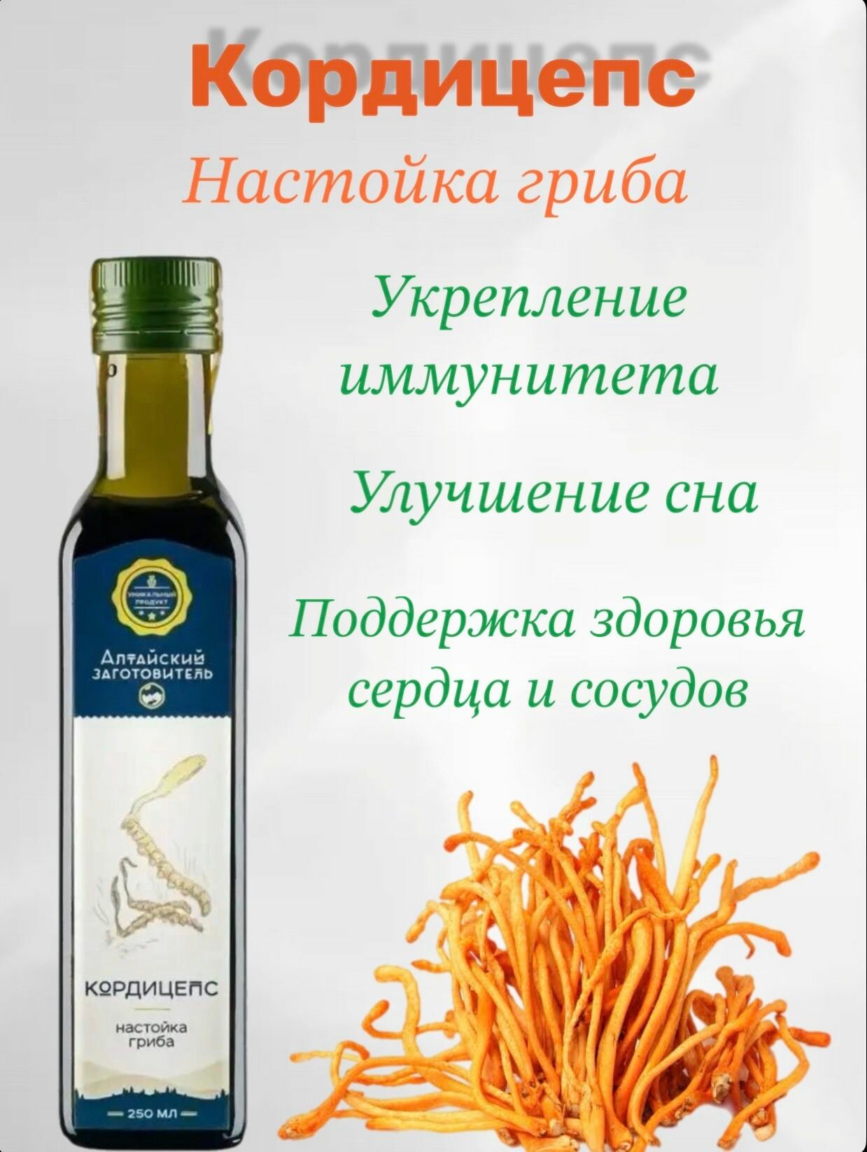 Экстракт настойка гриба Кордицепс китайского для иммунитета - Алтайский заготовитель, 250 мл