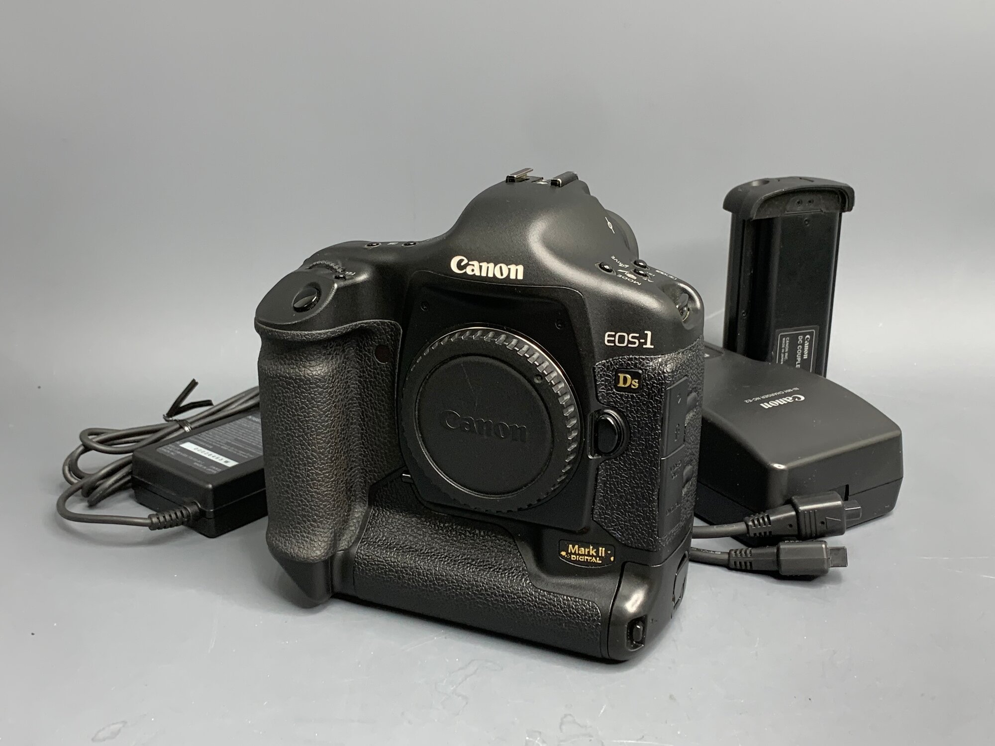 Canon EOS 1Ds Mark II 22.000 кадров