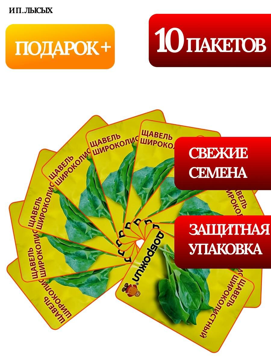 Семена Щавель "Широколистный"