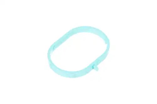 Прокладка коллектора впускного Ford Focus 1 6HXDA 16V 04