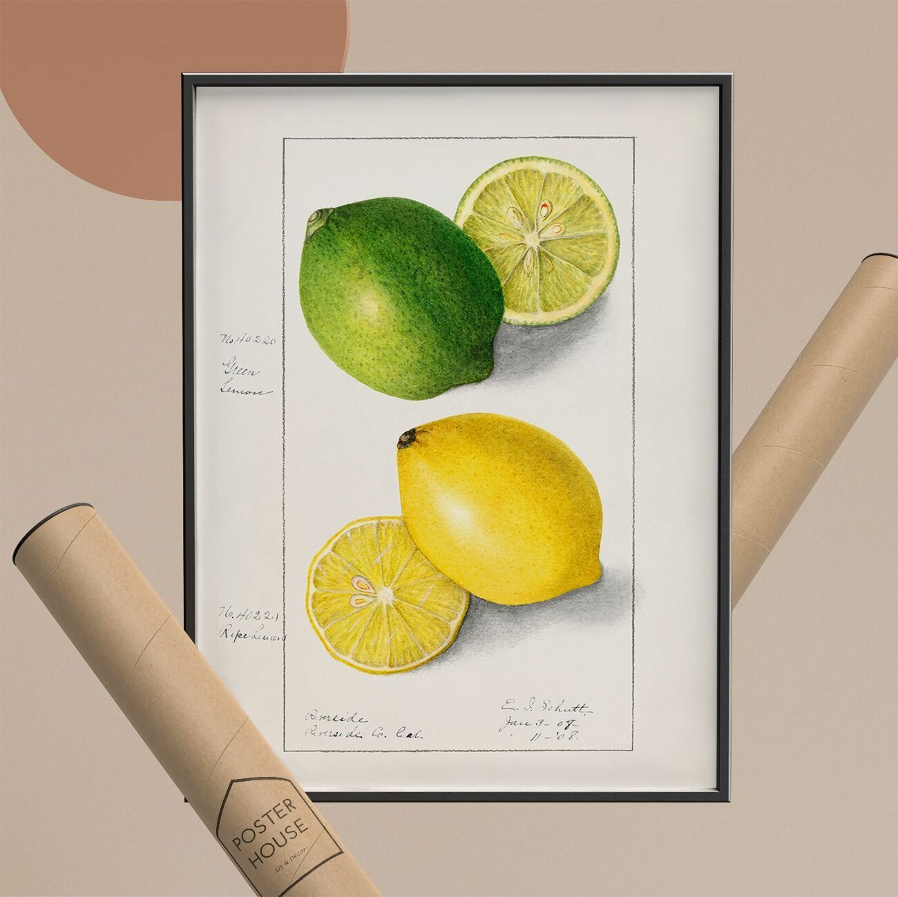 Постер Лайм Винтаж 50х70 см без рамы/ Эстетика/ Минималистичный эстетичный плакат для интерьера