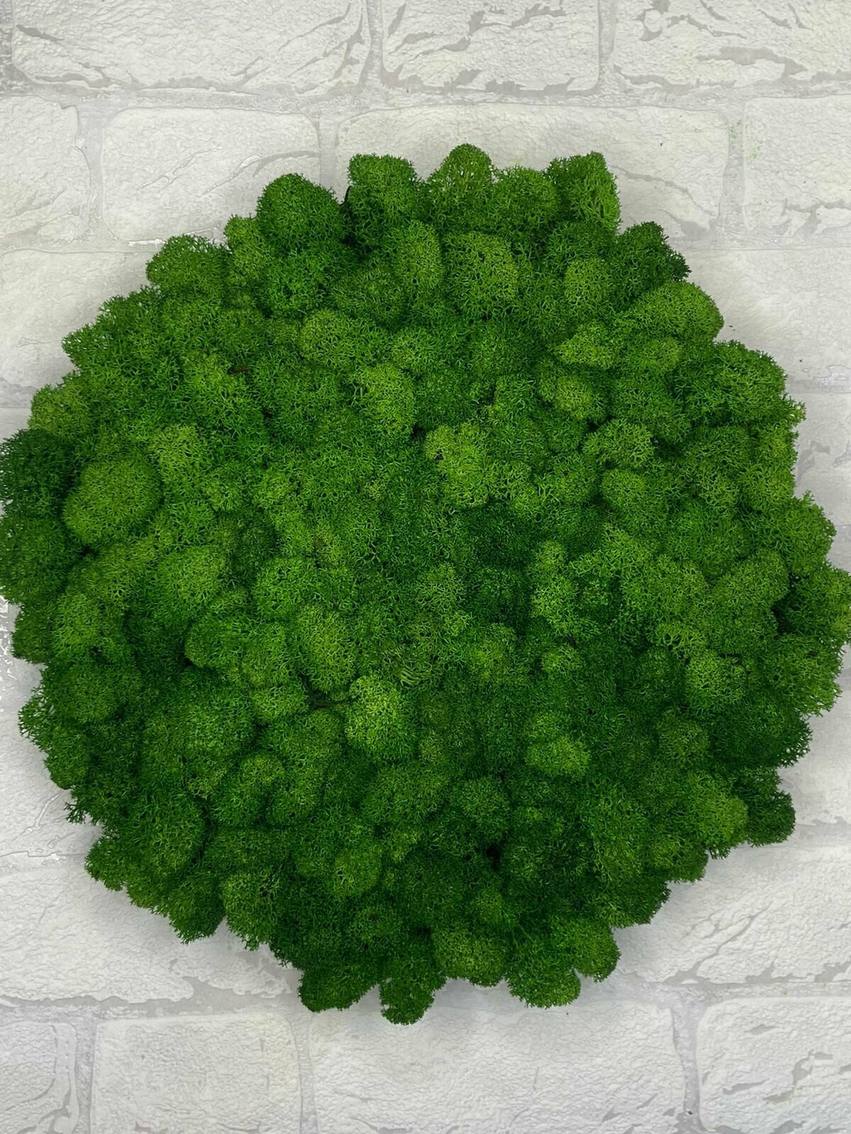 Панно круг из стабилизированного мха d30 см, цвет натуральный зеленый для декора, дизайна, озеленения. Домашний декор зеленым мхом