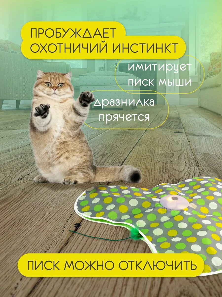 Игрушка для кошек, котов и котят интерактивный игровой коврик "Прятки" на батарейках, 3 режима работы