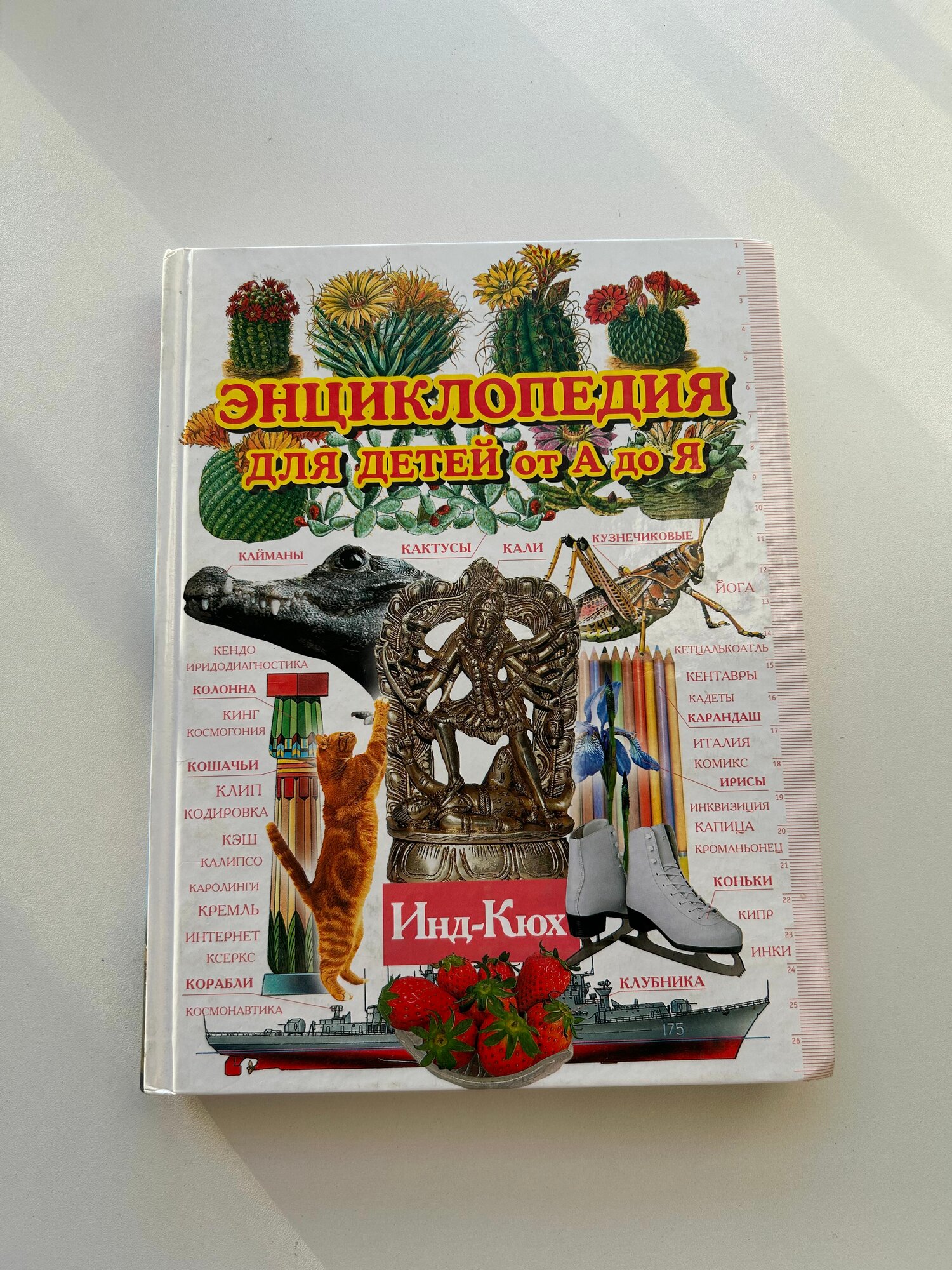 Книга Энциклопедия для детей от А до Я в 10 томах. Том 5. Инд Кюх. Издание 2010 года