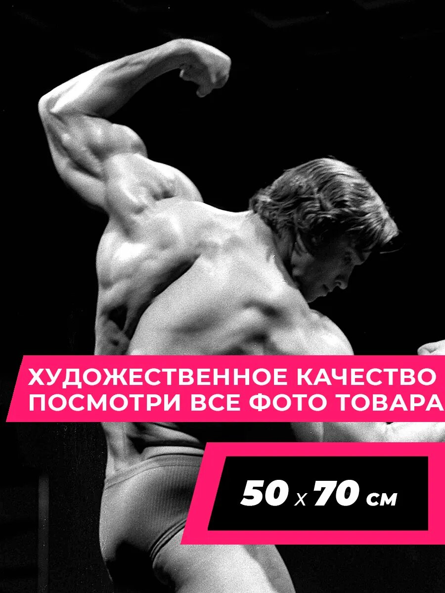 Постер Шварценеггер Арнольд на стену 2 50 на 70, матовая фотобумага премиум качества