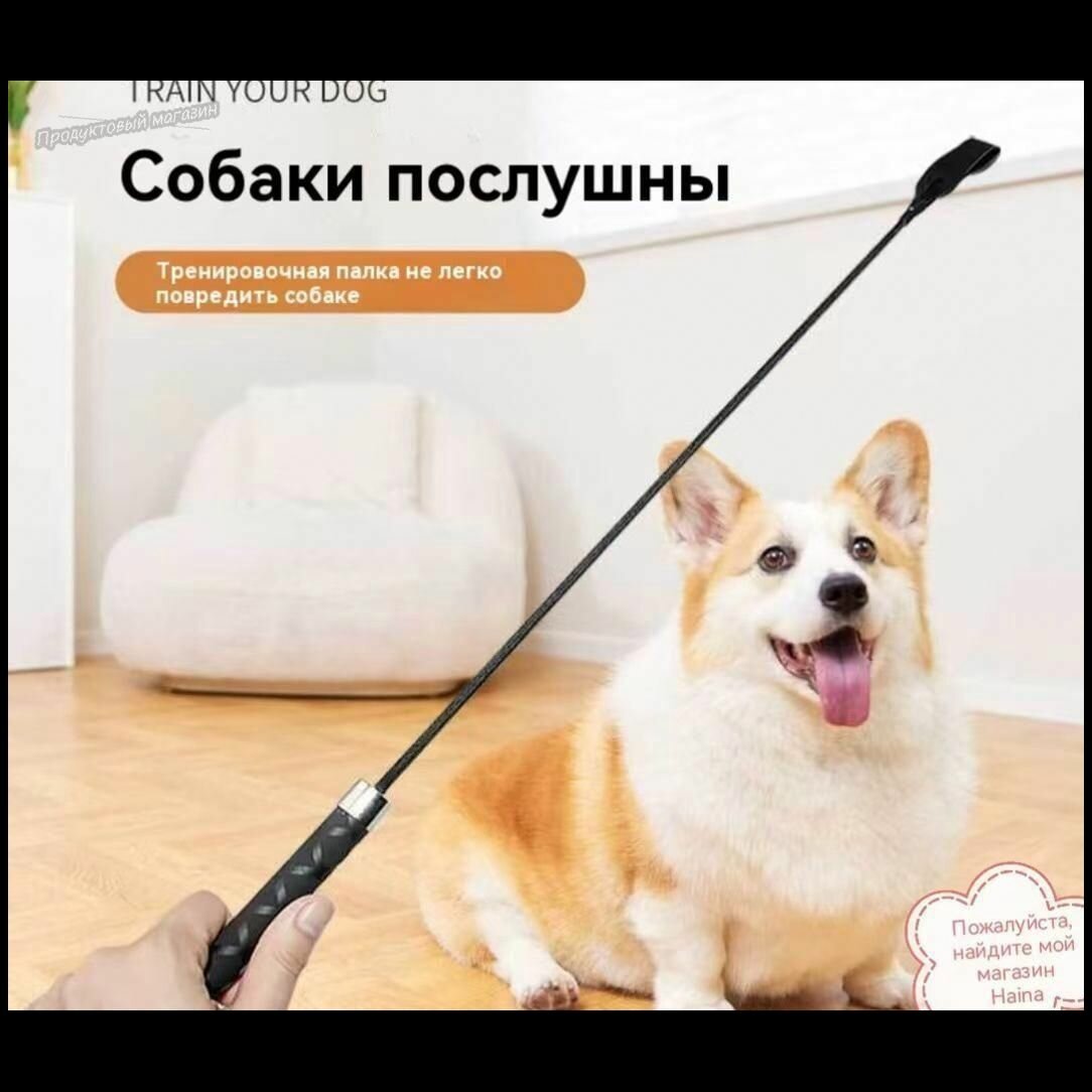 Петличка для дрессировки домашних животных, 1 шт.