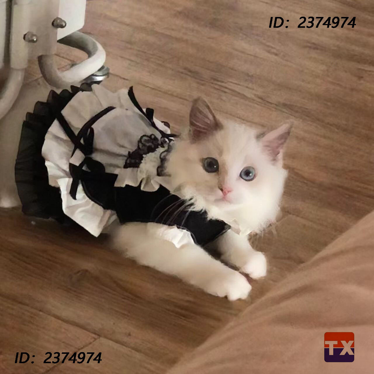 Платье принцессы для собак и кошек, костюм домашних животных