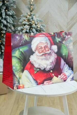 Подарочный пакет вместе С сантой: порадуемся, бумага, 40х55 см, Due Esse Christmas XNA16004101-2