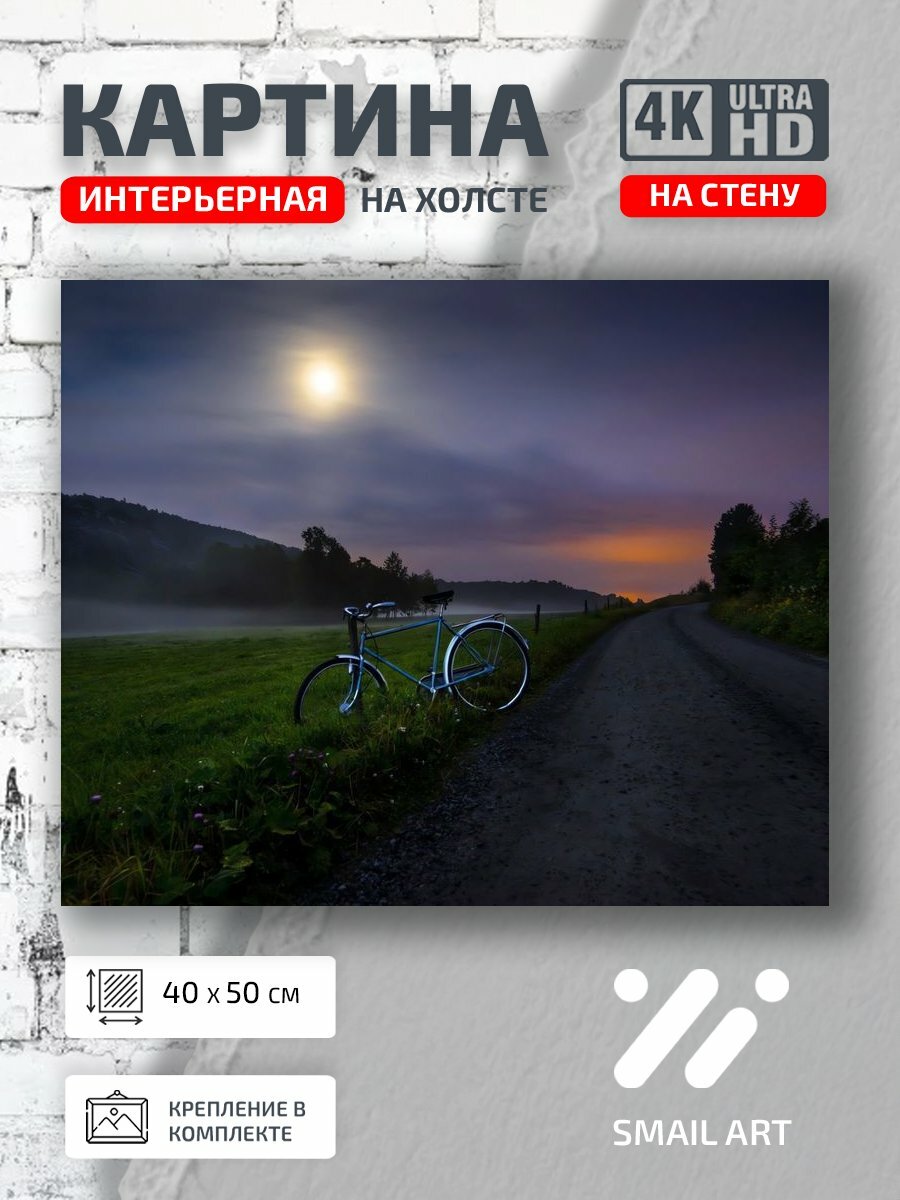 Картина на холсте интерьерная 40 на 50 на стену Деревья bike для кафе пейзаж интерьер декор