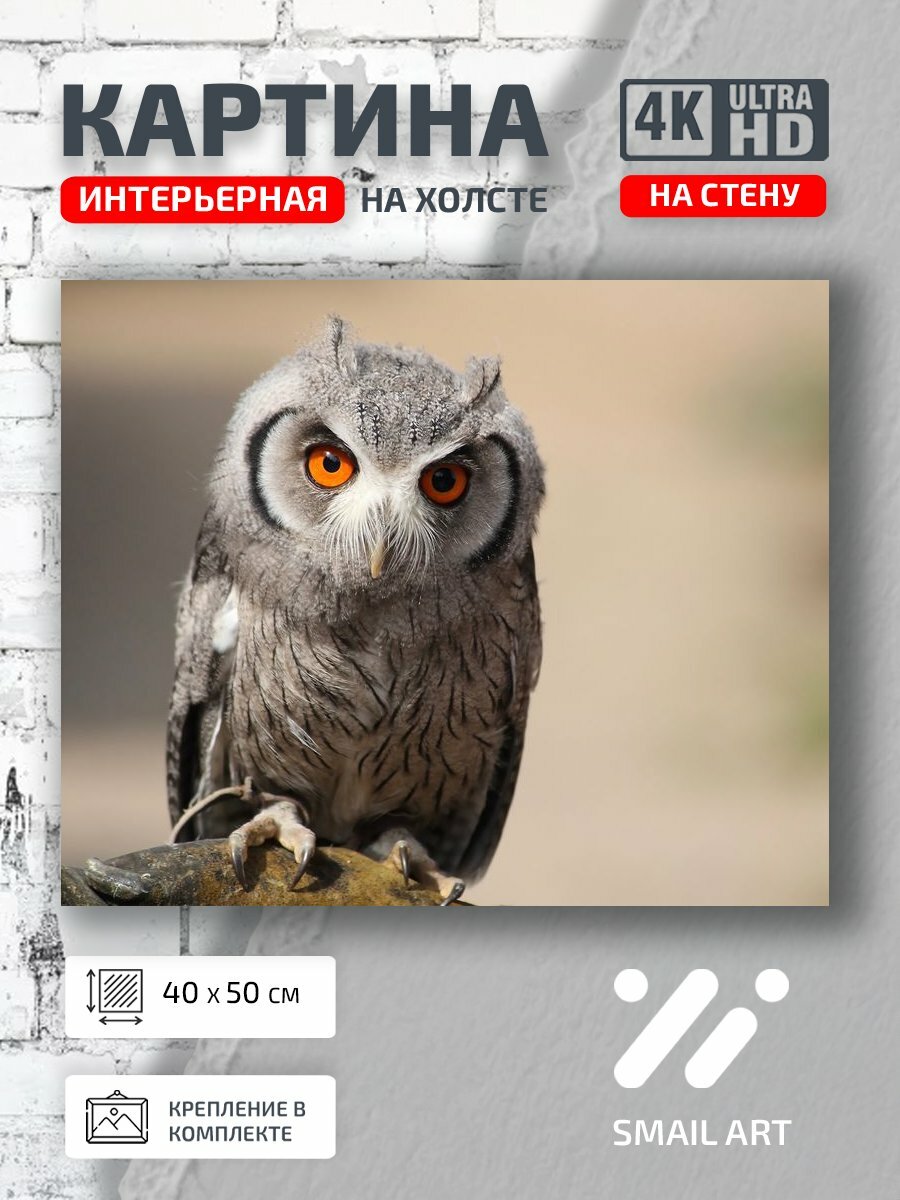 Картина на холсте интерьерная 40 на 50 на стену Птица Animal для кабинета animal style