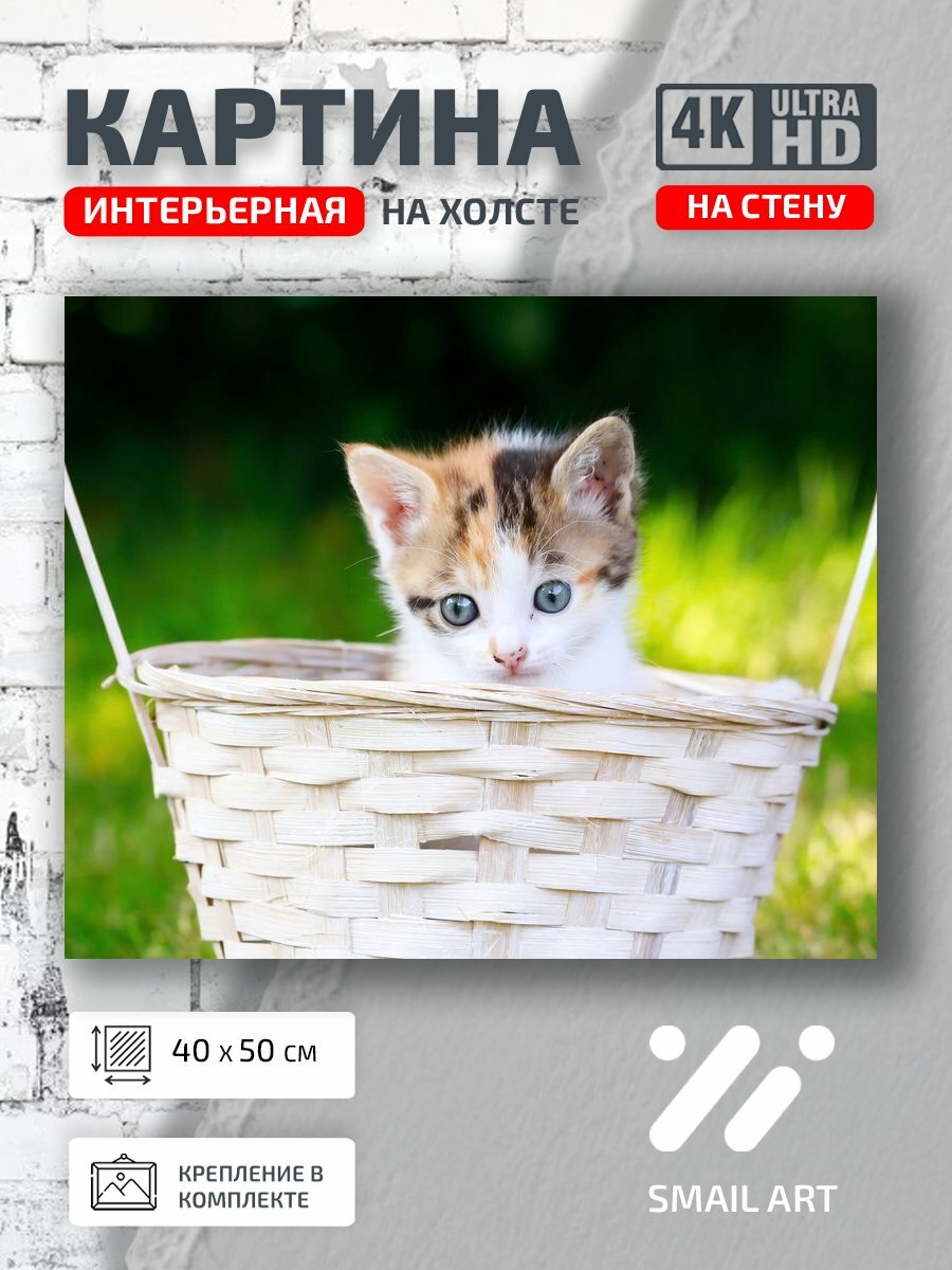 Картина на холсте интерьерная 40 на 50 на стену Трава Animal для детской animal style декор