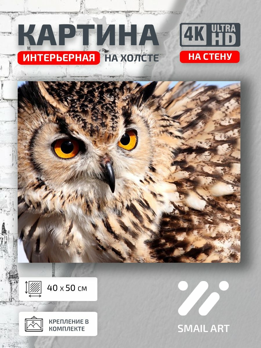 Картина на холсте интерьерная 40 на 50 на стену Птица animals для спальни пейзаж интерьер