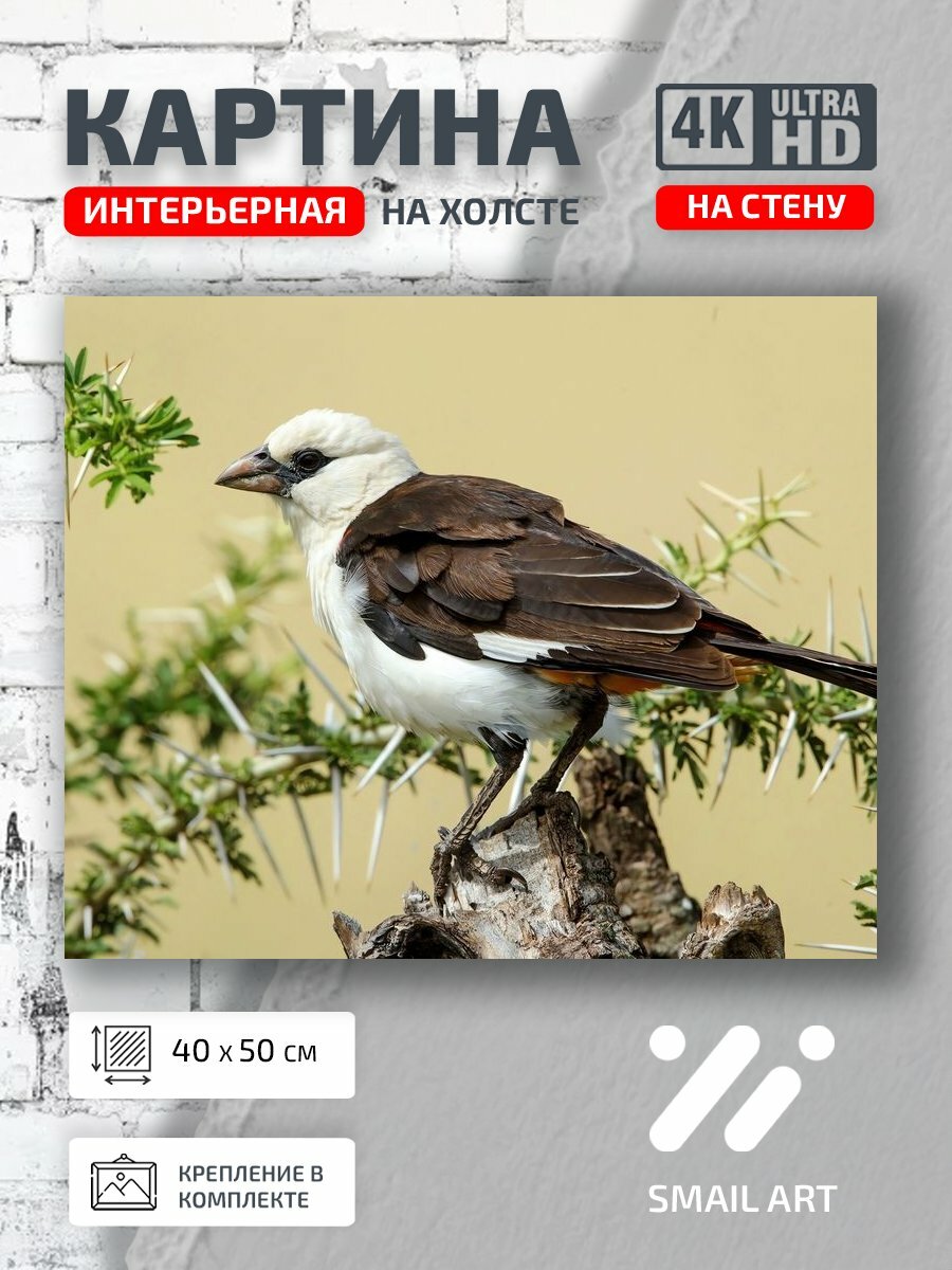 Картина на холсте интерьерная 40 на 50 на стену Птица Animal для кабинета animal style