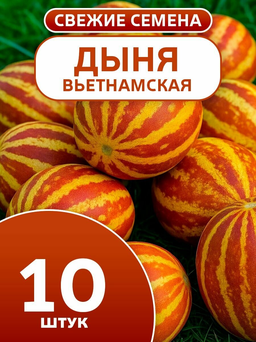 Семена Дыня вьетнамская для выращивания, 10 шт