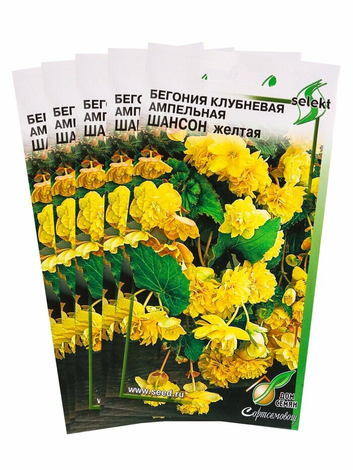 Набор семян Бегония ампельная "Шансон" клубневая, желтая, 5 шт.