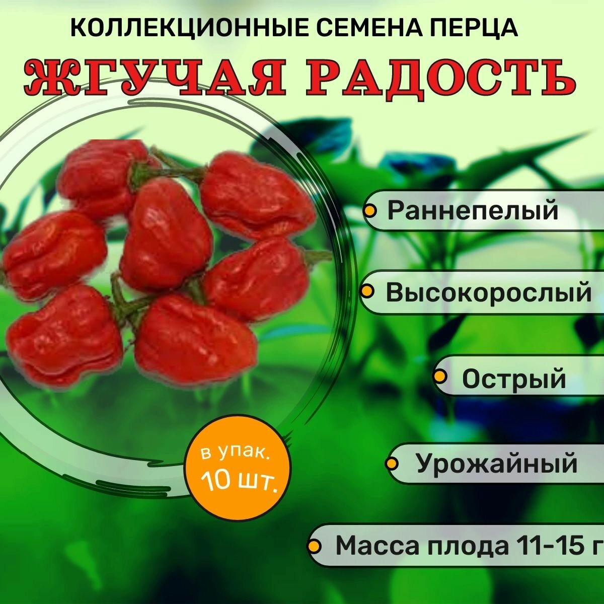 Коллекционные семена перца острого Жгучий блондин