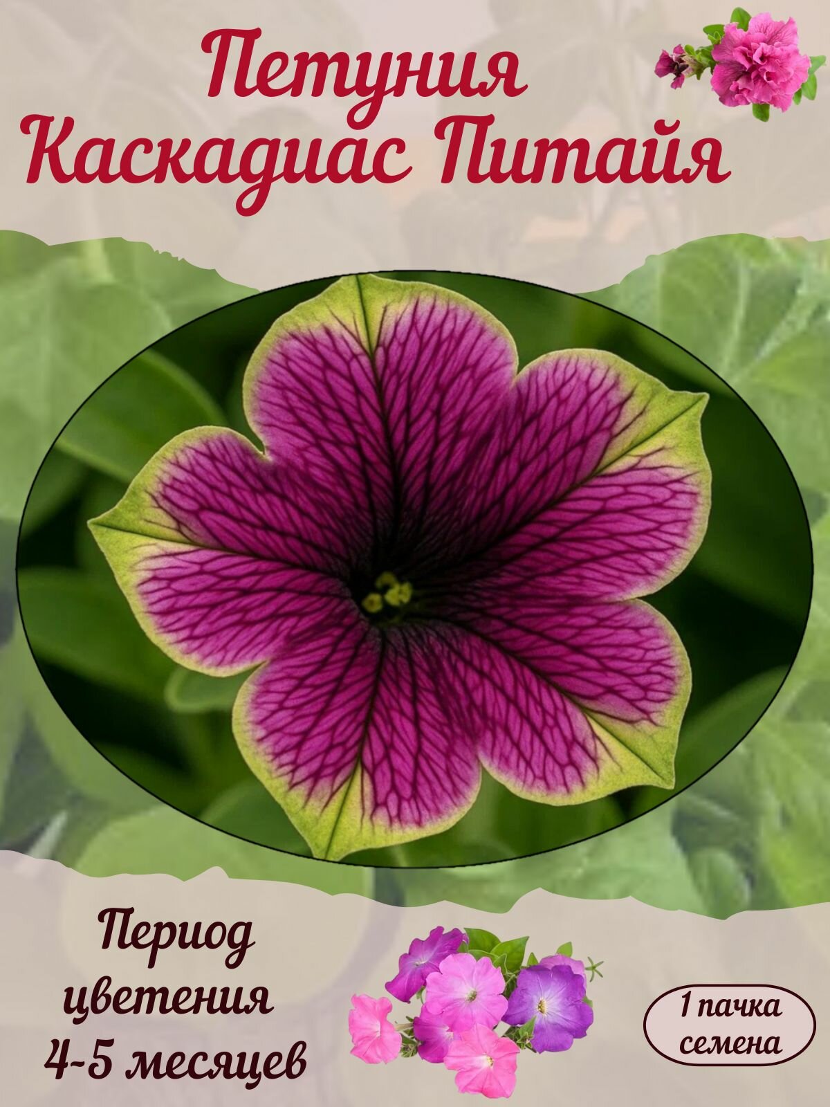 Петуния Каскадиас Питайя, семена, 10 шт, 15 гр.