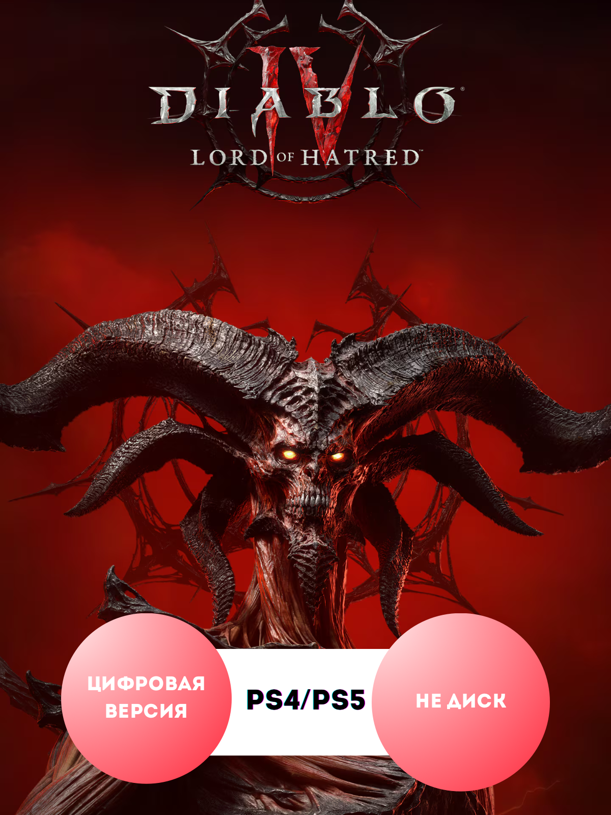 Diablo IV Lord of Hatred Standard Edition PS4 & PS5