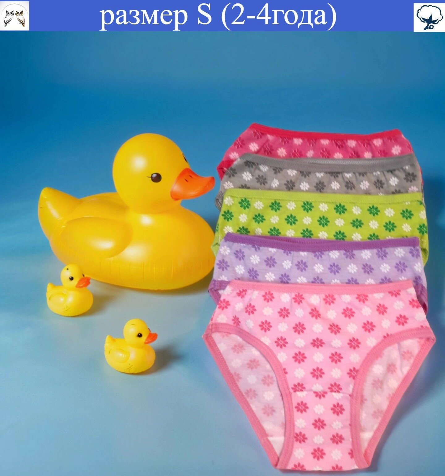 Трусы Повседневный