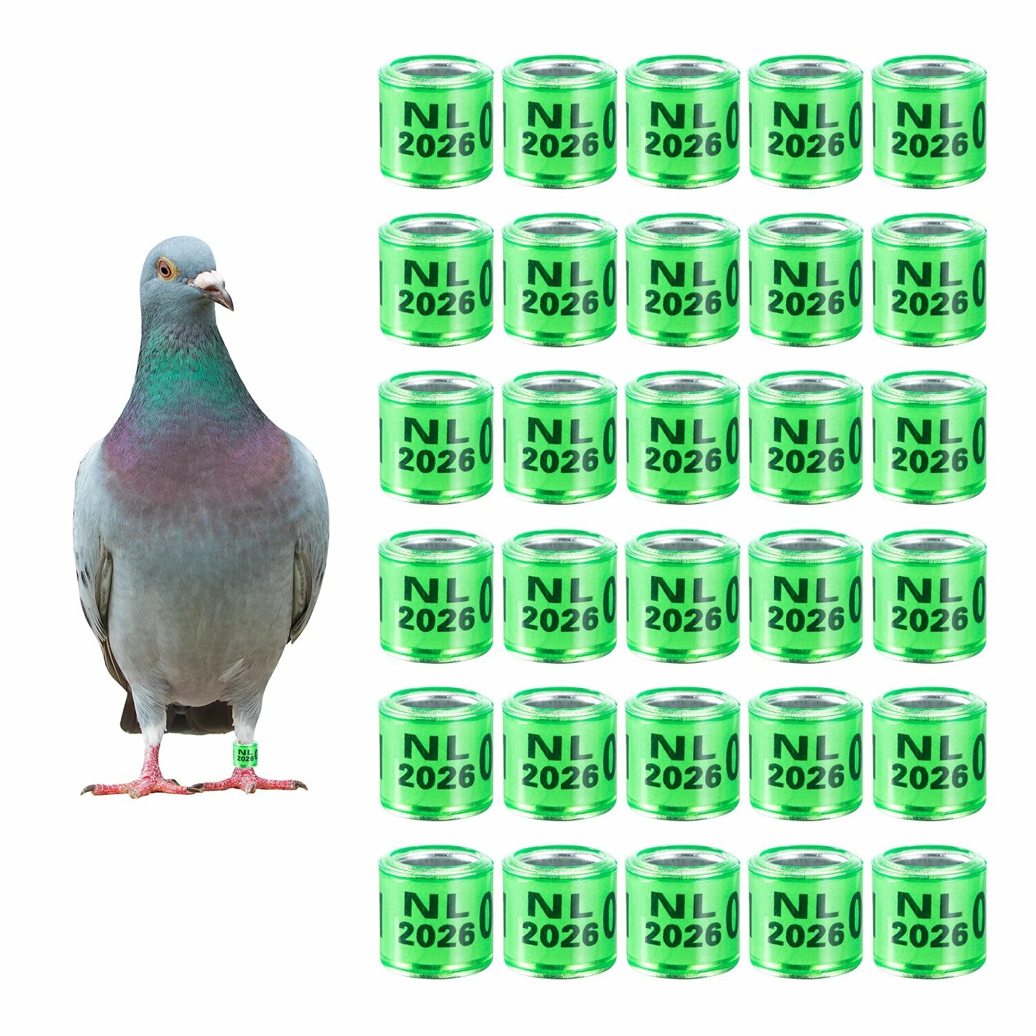 Кольца для ног голубей 50 шт. Зеленый, NL