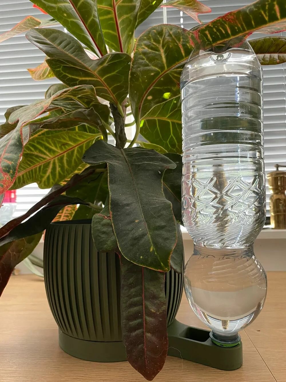 Кашпо 3D-печатное самополивающееся / Self-Watering Planter оливково-зелёное с автополивом из бутылки для комнатных растений