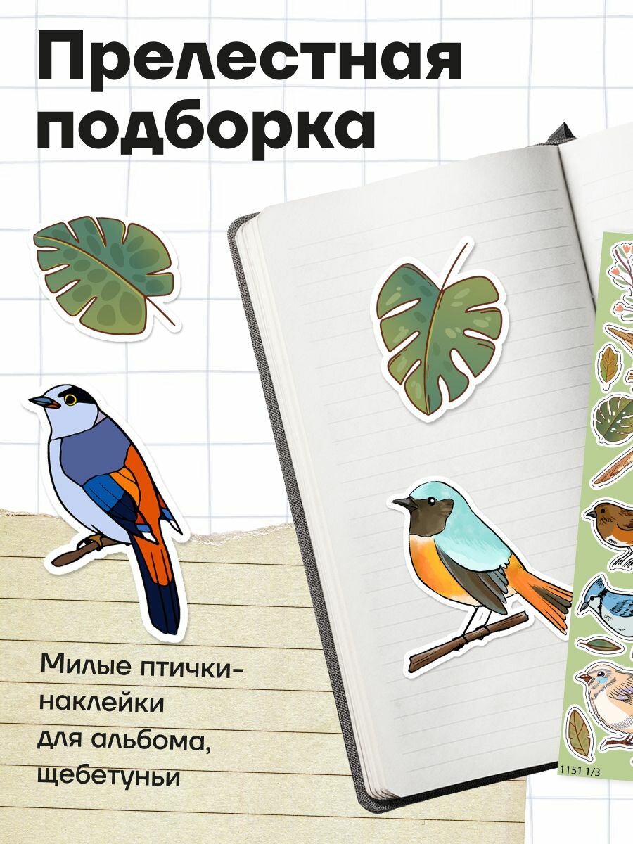 Наклейки птицы, виниловые, для творчества, многоразовые, 75 штук — фото 1