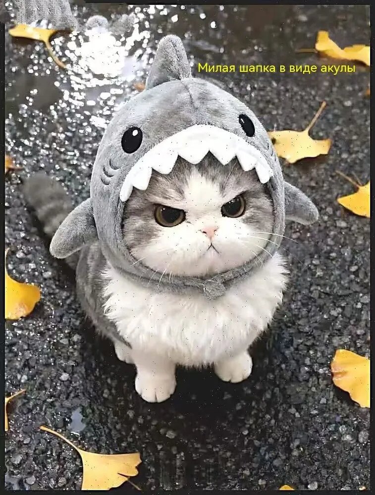 Забавная шляпа для собак и кошек, декоративная, для фотосессии, шапка для домашних животныхДизайн с акулойкарнавальный аксессуар для домашних животныхУниверсальный размер