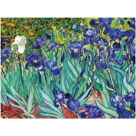 Алмазная вышивка Школа талантов 30х40 см "Ирисы" арт.5276519