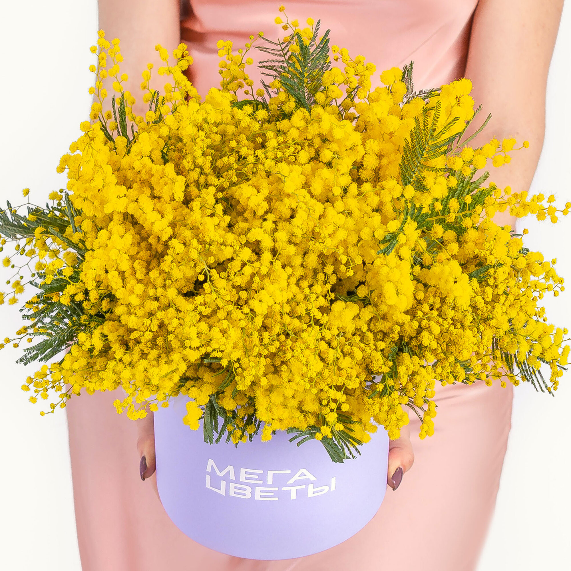 Букет Мегацвет24 "Мимоза", 5 пучков, желтый, в шляпной коробке
