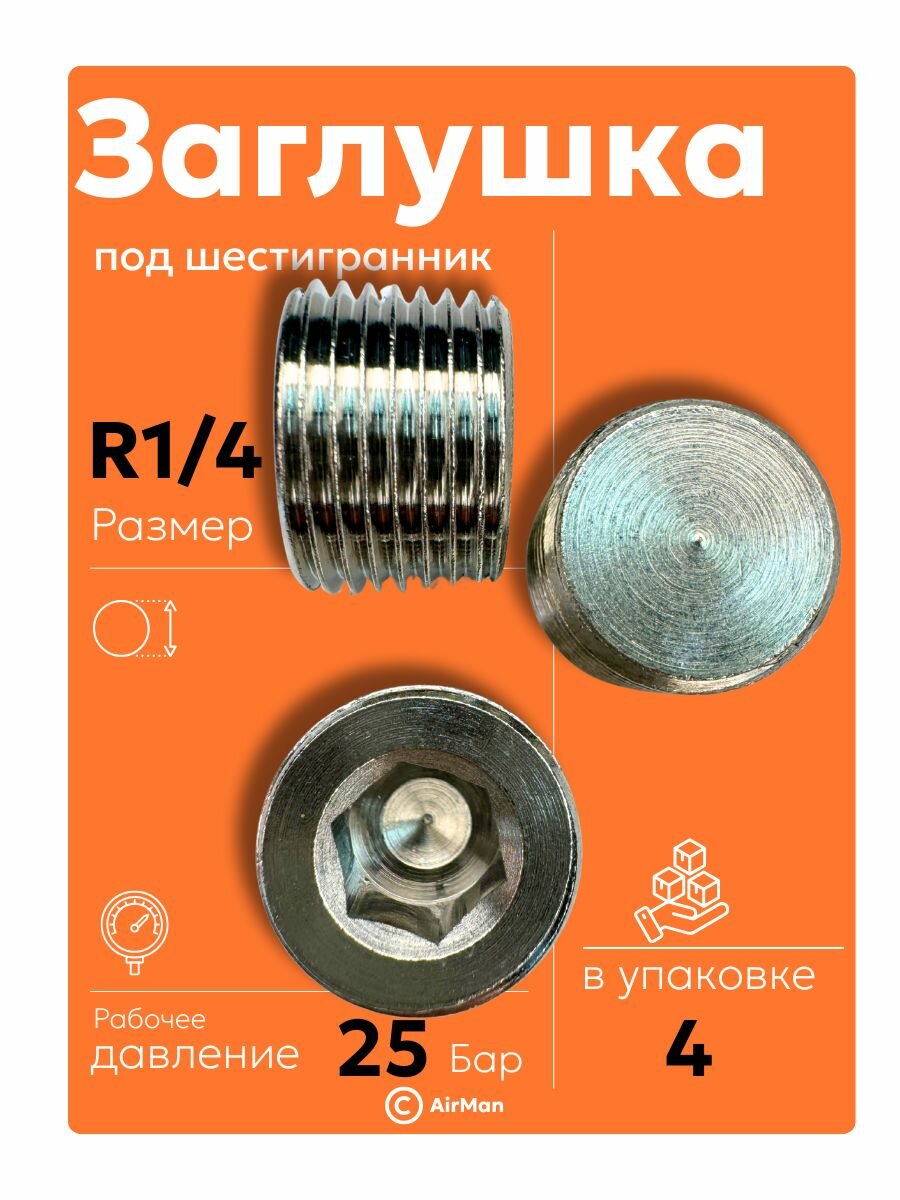 R1/4 (4 шт) Заглушка шестигранник