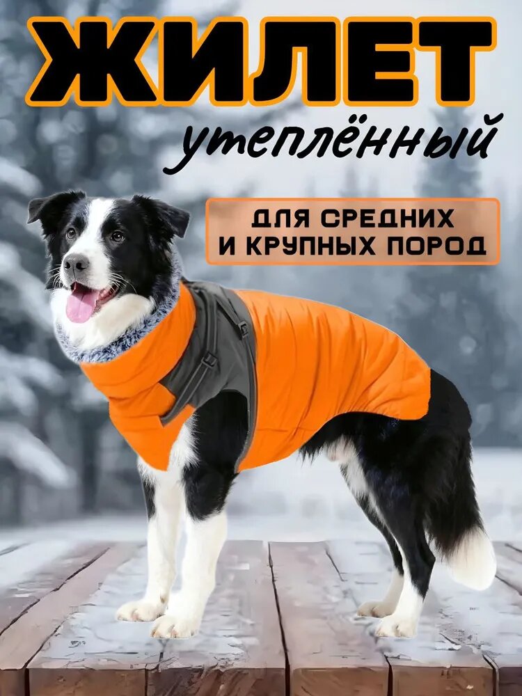 Жилет MyPet-MyFriend, для собак, полиэстер, водонепроницаемый, с утеплителем
