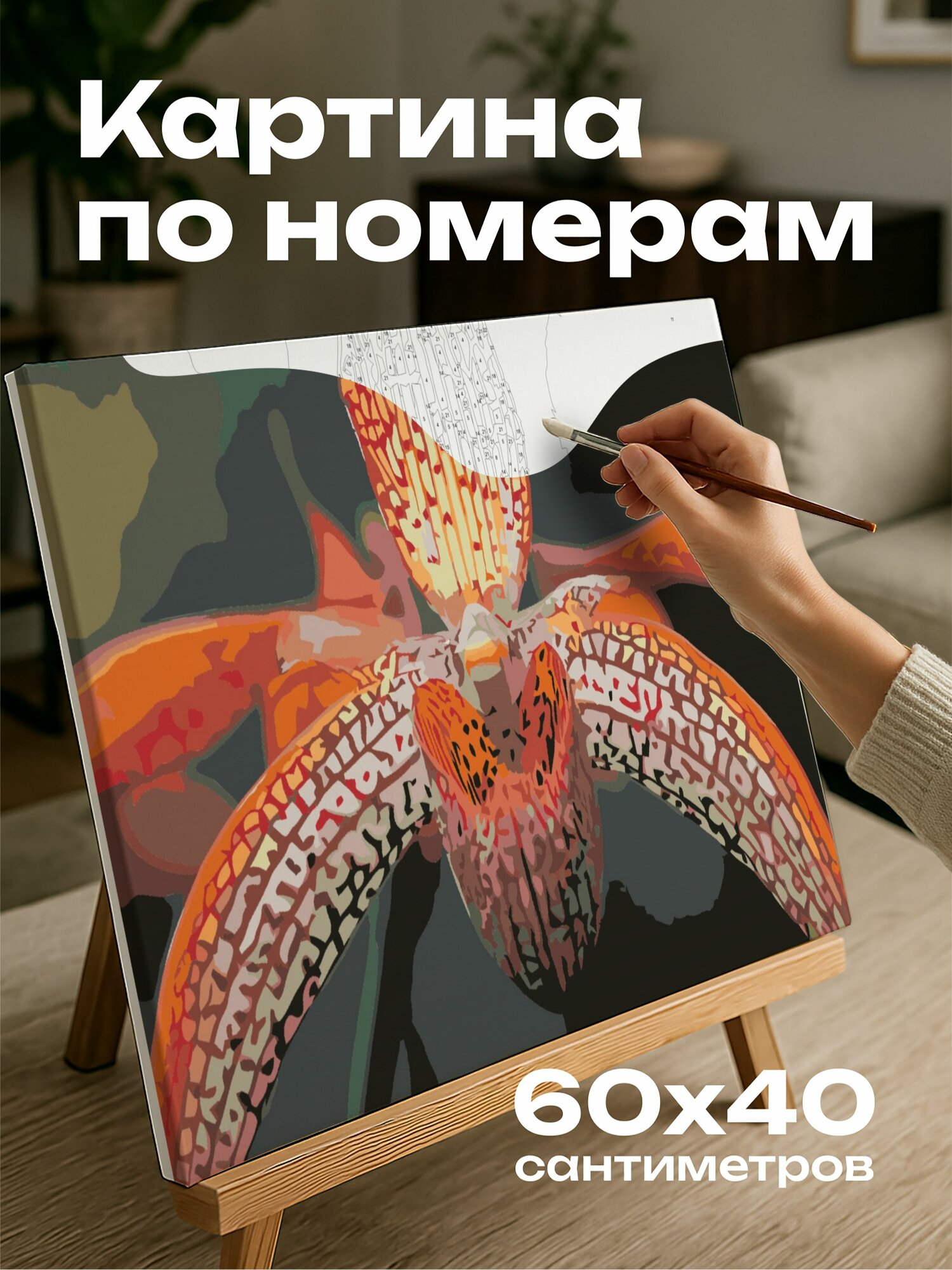 Картина по номерам 60x40 см, Орхидея, высокое разрешение, узоры, текстуры, бархатистые лепестки, естественное освещение