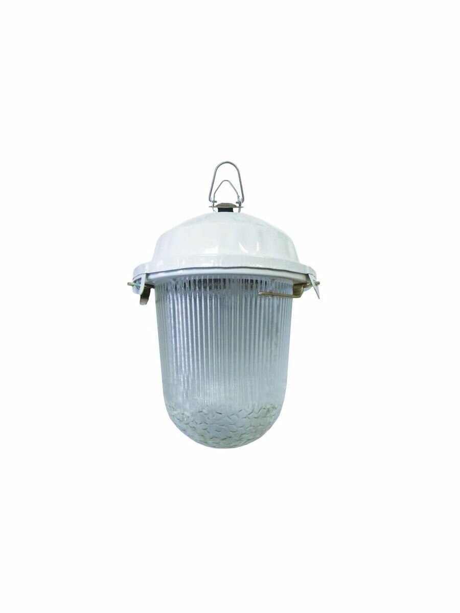 Светильник НСП 02-100-001.01 У2 (без решетки, стекло, крюк) TDM