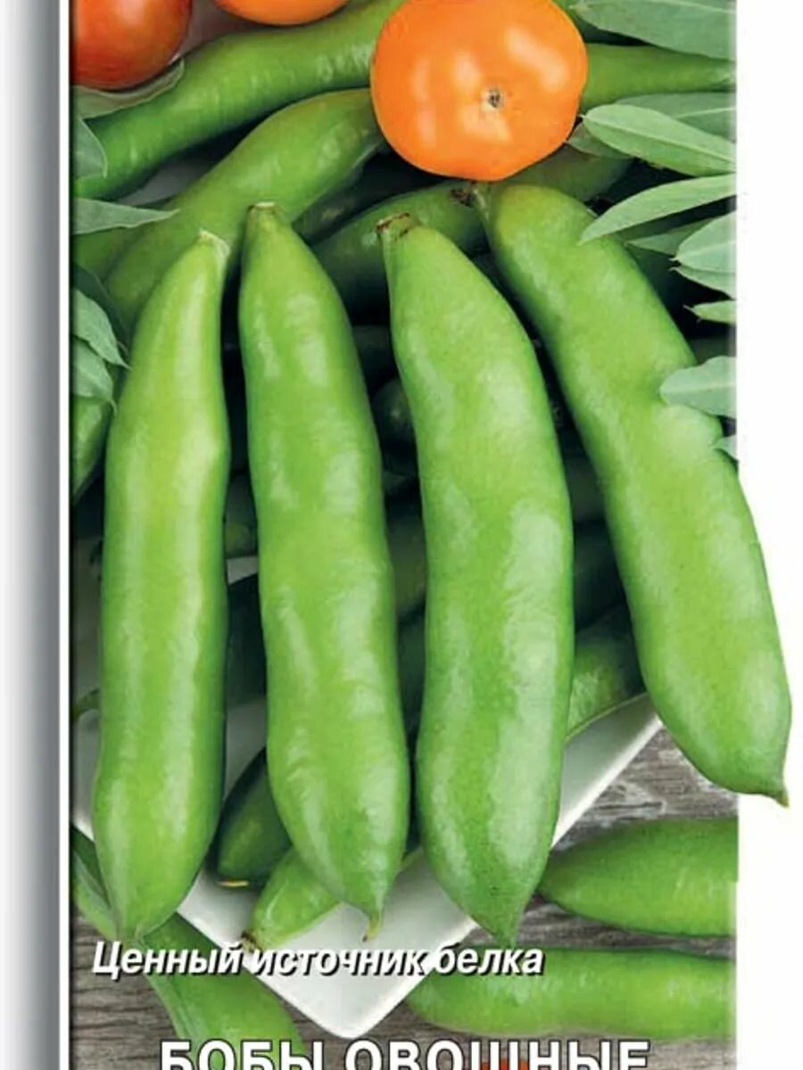 Бобы Белорусские овощные 7 шт, Семена Поиск