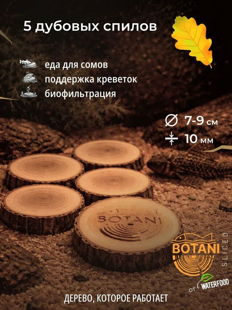 Спилы дерева BOTANI CLICED, для сомов WATER FOOD, дуб, 7-9см, 5шт.