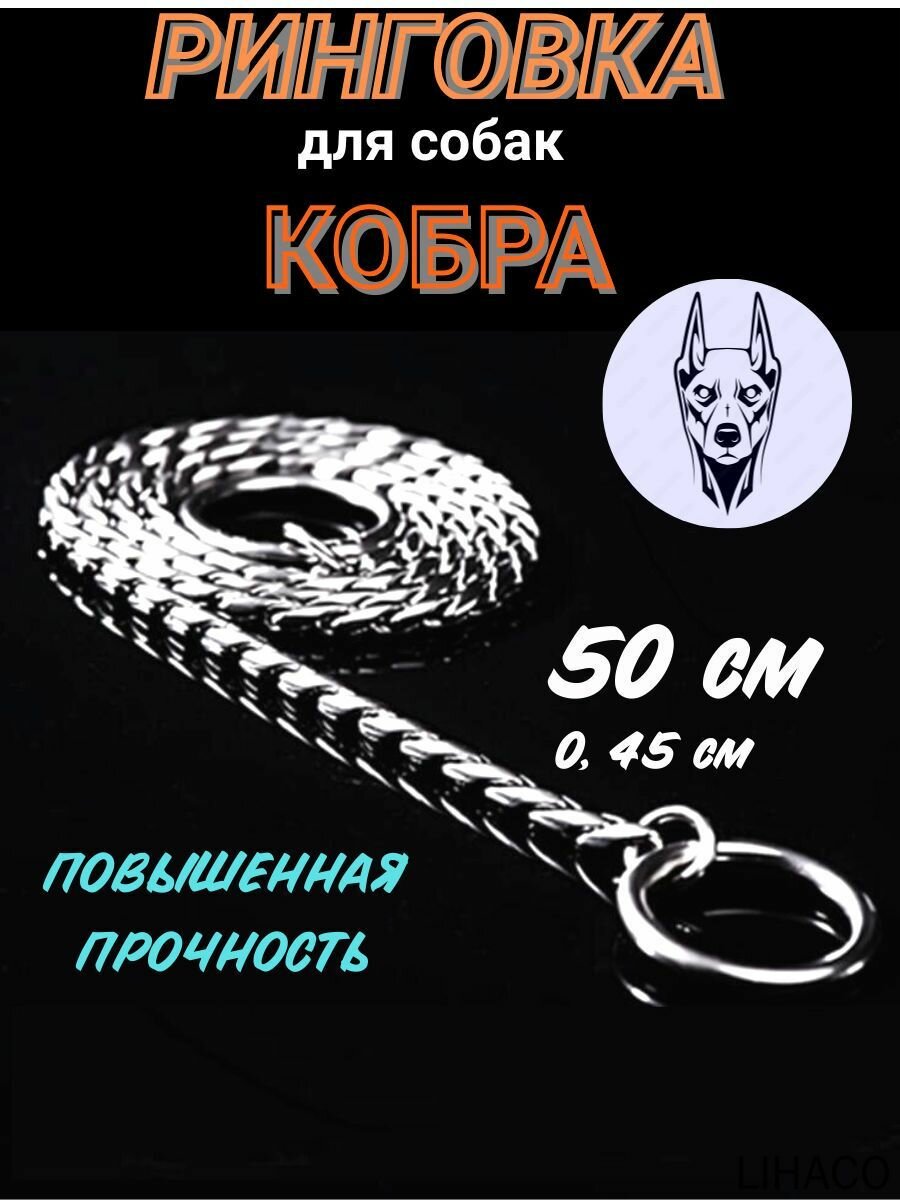 Ошейник