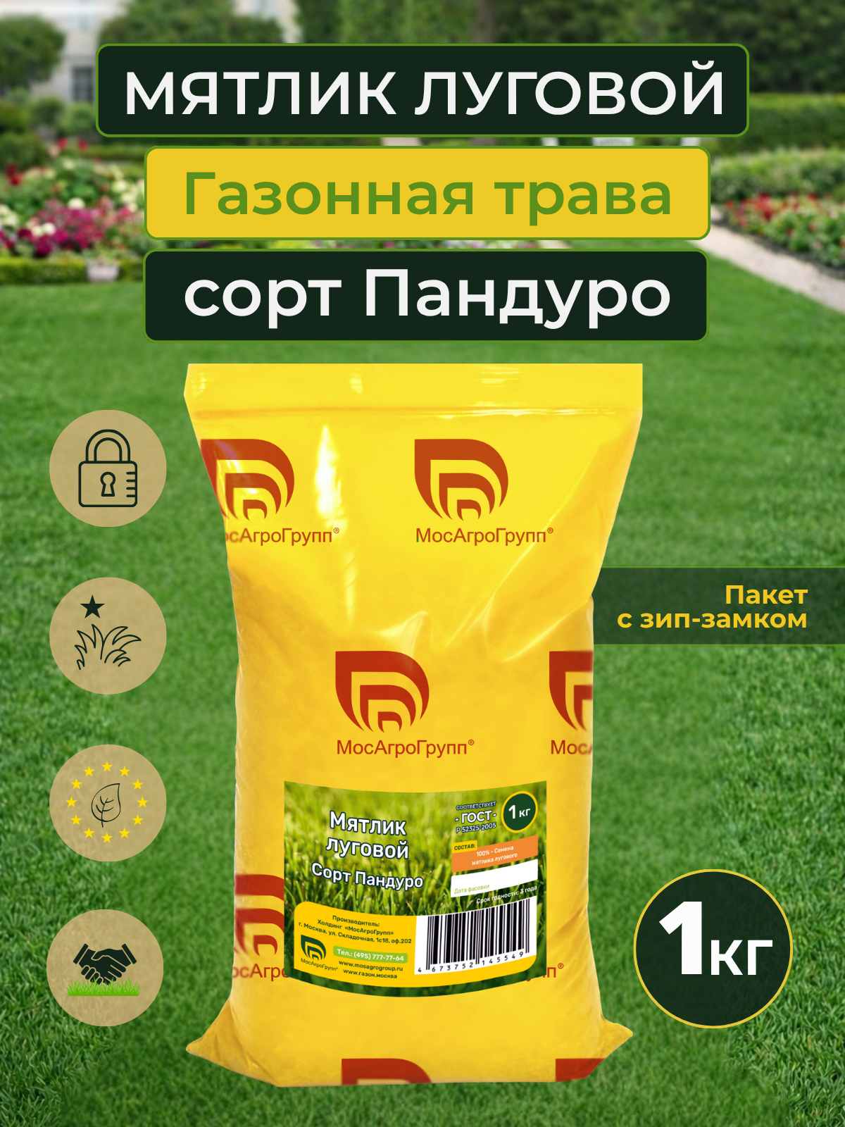 Семена мятлика лугового 1кг сорт Пандуро Мосагрогрупп для газона