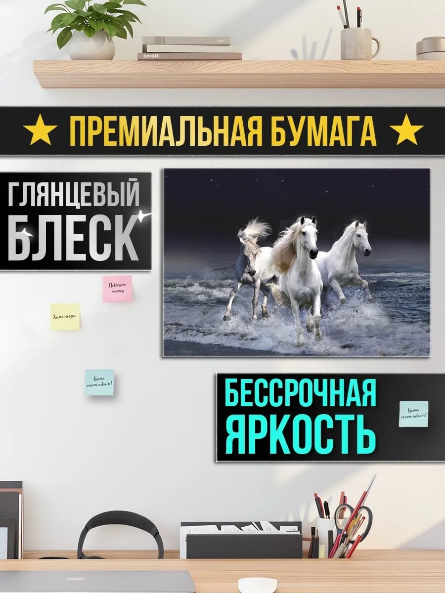 Плакат постер Белые кони в воде — фото 1