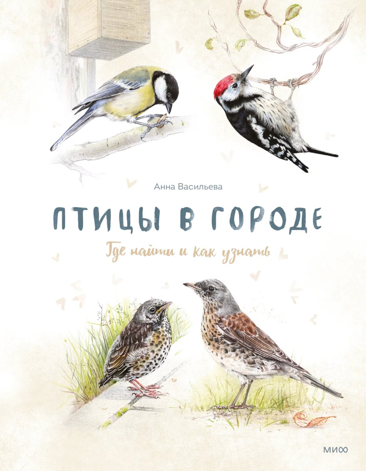 Птицы в городе. Где найти и как узнать [Цифровая книга]