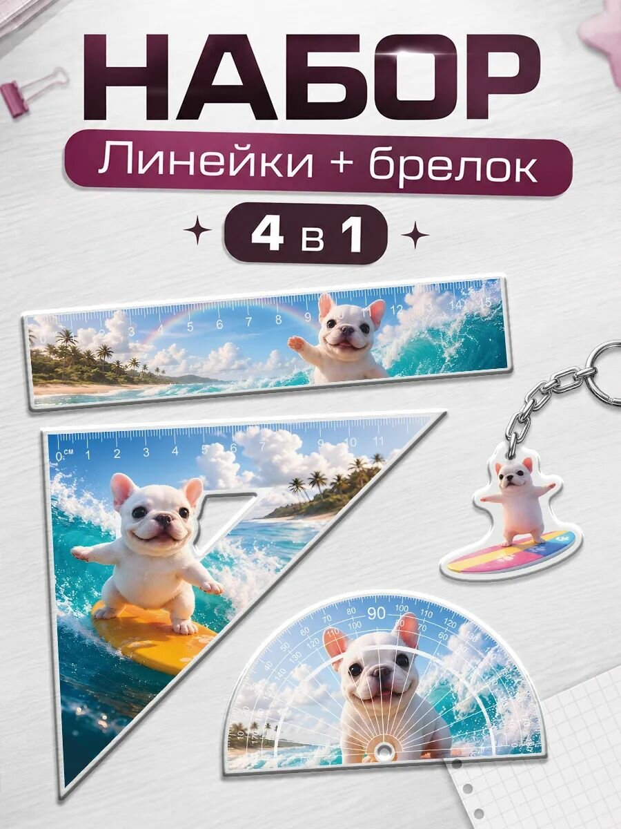 Набор линеек для школьника с транспортиром собака на серфе