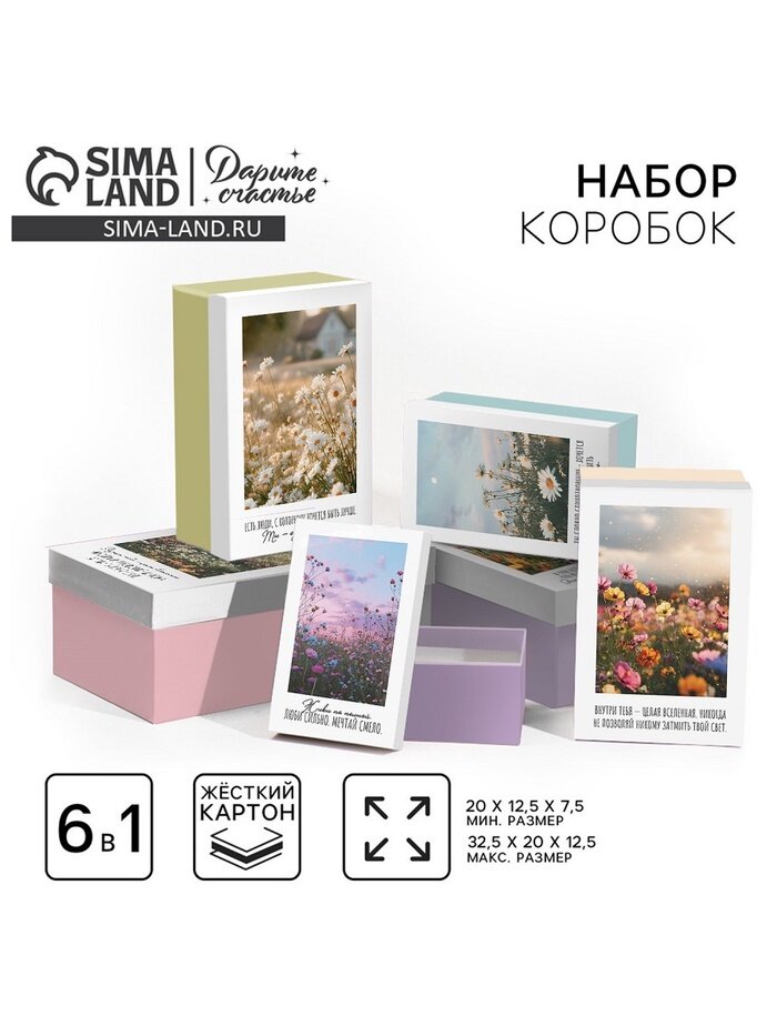 Набор подарочных коробок 6 в 1 «Лето», 16 × 16 × 14‒20 × 20 × 17 см 10908554