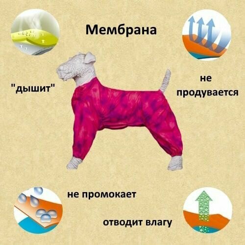 Одежда для животных — фото 1