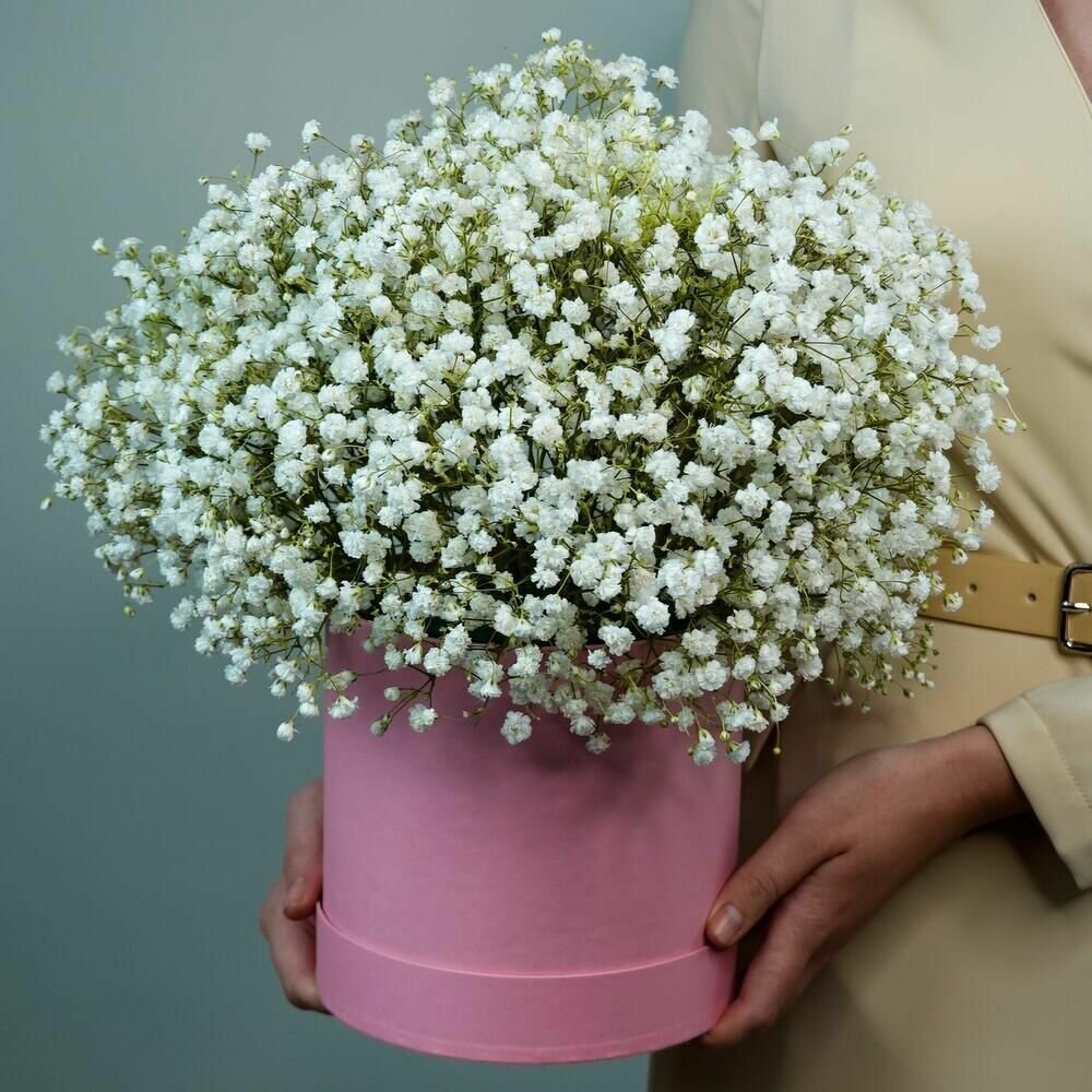 Белая гипсофила в коробке Bianco