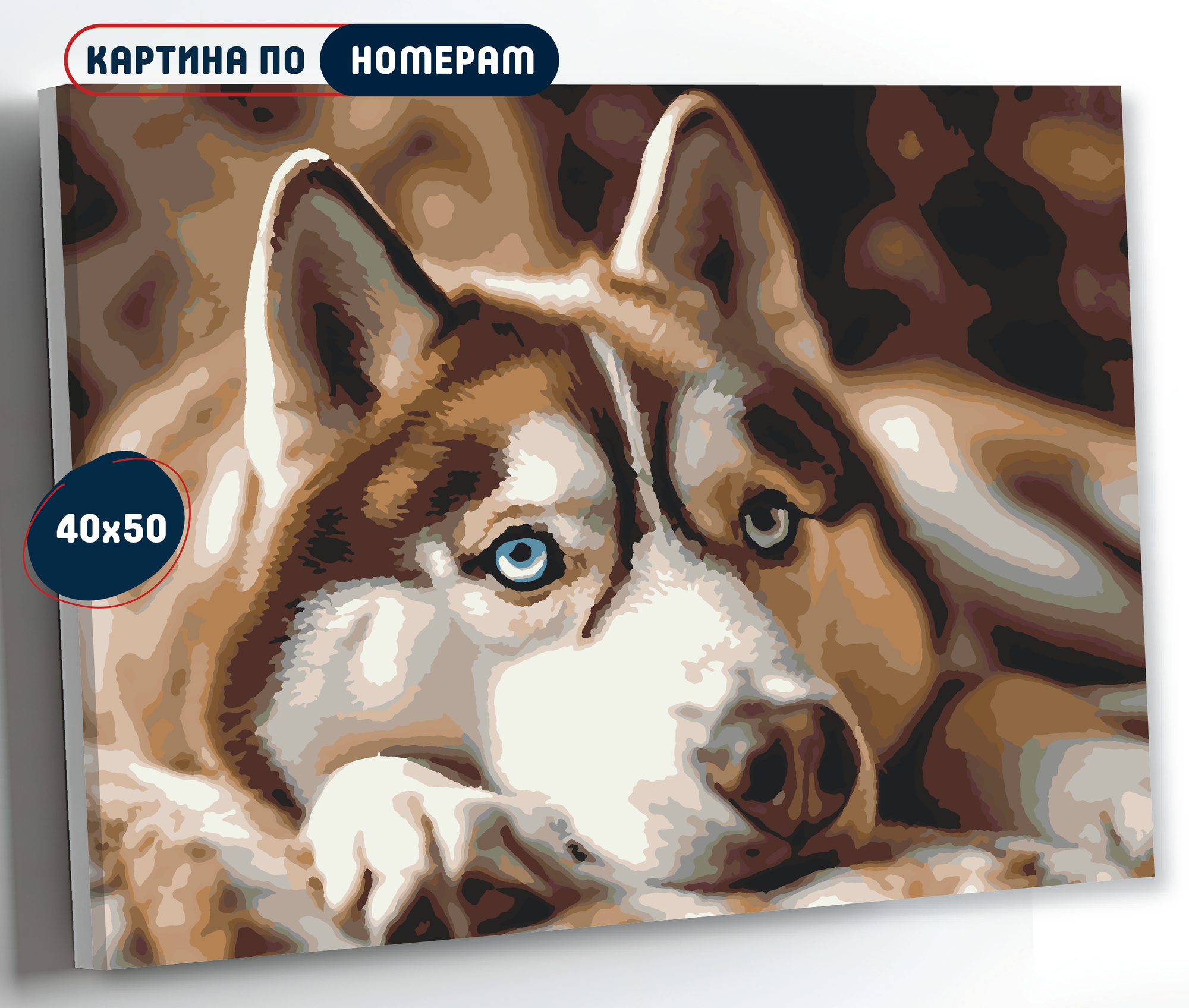 Картина по номерам "Хаски", Холст на подрамнике 40х50, набор для рисования, с животными