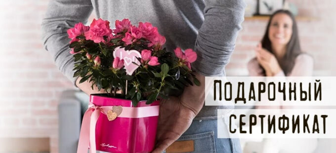 Подарочный сертификат - SUNFLOR | номинал 8000 RUB | Россия | Подарок для любого случая