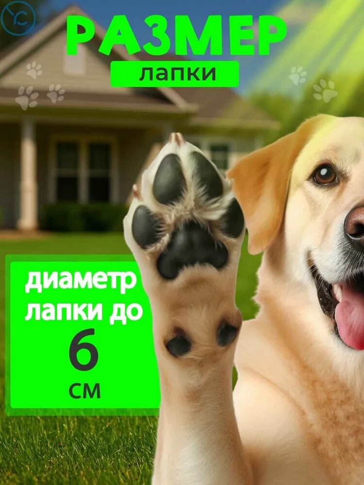 Лапомойка — фото 1