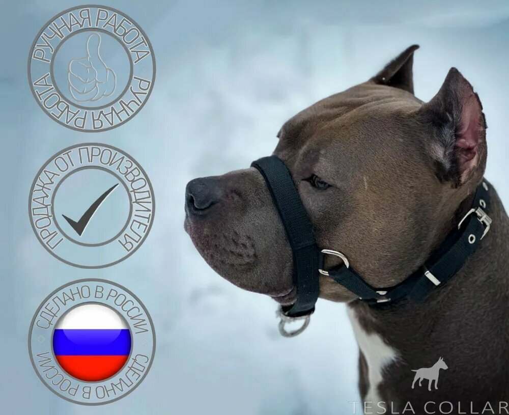 Намордник